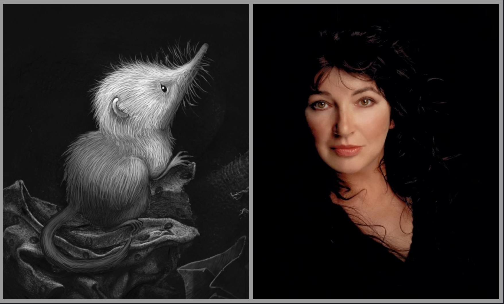 Exclusive: Kate Bush Discusses the Inspirations for Her New Anti-War ...